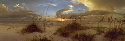 Doug Cavanaugh's Instagram, Twitter & Facebook on IDCrawl