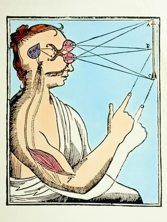 'Illustration From De Homine by Rene Descartes' Photographic Print - Dr ...