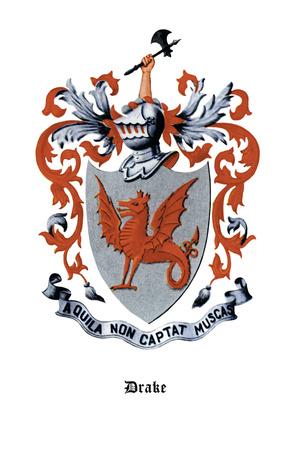 'Drake' Art Print | Art.com