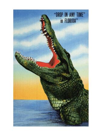 'Drop in Any Time in Florida' Premium Giclee Print | Art.com