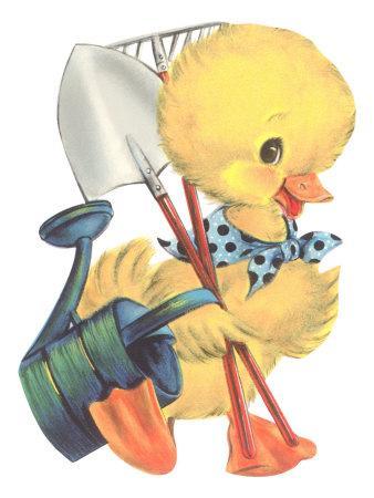 'Duckling with Garden Tools' Art Print | Art.com