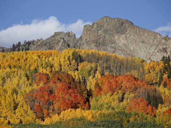 Dyke with Fall Colors, Grand Mesa-Uncompahgre-Gunnison National Forest ...