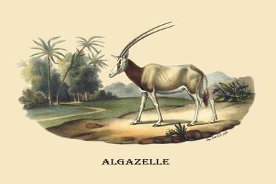 Gazelle Painting