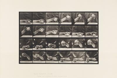 'Plate 534. Movement of the Hand; Lifting a Ball, 1885 (Collotype on ...
