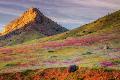 Early Spring Hills at Kern County Photographic Print | Art.com