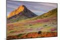 Early Spring Hills at Kern County Photographic Print | Art.com