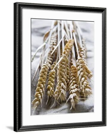 Ears of Rye on a Linen Cloth Photographic Print by Susanne Casper ...