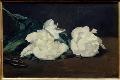 'Branch of White Peonies and Secateur Painting by Edouard Manet (1832 ...
