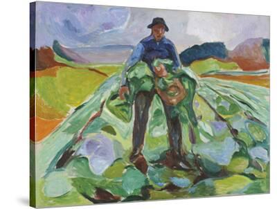 Man In The Cabbage Field Stretched Canvas Print - Edvard Munch | Art.com