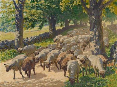 'Flock of Sheep, C.1920S (Oil on Canvas)' Giclee Print - Edward Charles ...