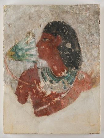Painting of a Man Smelling a Lotus Flower, C.1479-1390 BCE (Limestone ...