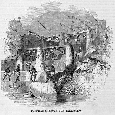 'Egyptian Shadoof for Irrigation.' Giclee Print | Art.com