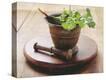 'Moroccan Mortar with Coriander' Photographic Print - Eising Studio ...