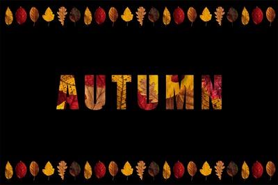 'The Word Autumn Made from Leaves and Herbs on a Black Background ...