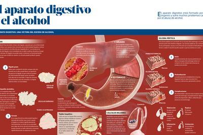 'El aparato digestivo y el alcohol.' Photographic Print | Art.com