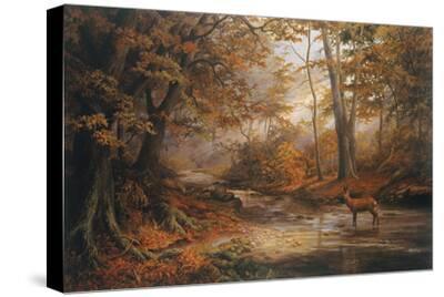 'Woodland Stream' Stretched Canvas Print - Elizabeth Halstead | Art.com