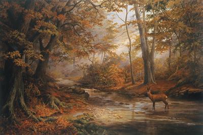 'Woodland Stream' Giclee Print - Elizabeth Halstead | Art.com