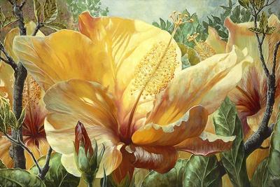 Golden Hibiscus Giclee Print - Elizabeth Horning | Art.com