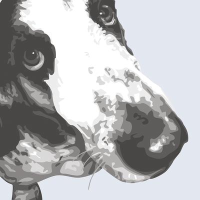 Bassett Hound Giclee Print - Emily Burrowes | Art.com