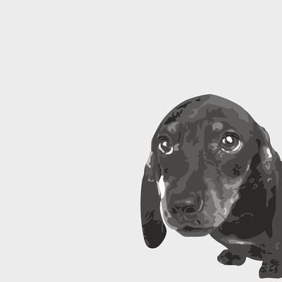 Dachshund Giclee Print - Emily Burrowes | Art.com