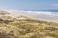 'Baker Beach, Oregon, USA. Grassy dunes and a sandy beach on the Oregon ...