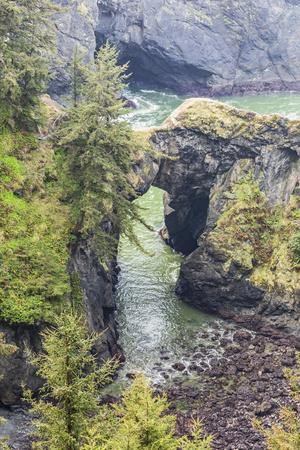 Natural Bridges Viewpoint, Oregon, USA. View of the Natural Bridges on ...