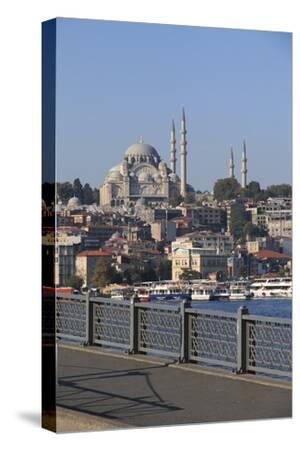 Turkey, Istanbul, Blue Mosque and Topkapi Palace. Stretched Canvas ...