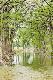 Waring, Texas, USA. Trees along the Guadalupe River in the Texas Hill ...