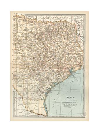 'Blue Mockingbird (Melanotis Caerulescens), Birds' Art Print ...