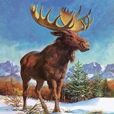 Alaska's Mighty Moose Giclee Print - English School | Art.com