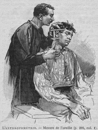 'Engraving of a Man Taking Measurements of a Criminal's Ear' Giclee ...