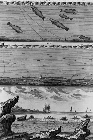 'Engraving of Cod Fishing' Giclee Print | Art.com