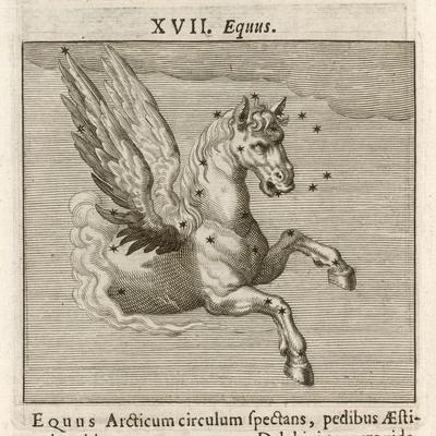 'Equus the Horse' Art Print - Gaius Julius Hyginus | Art.com