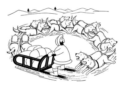 Sled Dogs Running Drawing