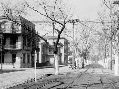 'Esplanade Street, New Orleans' Photo | Art.com