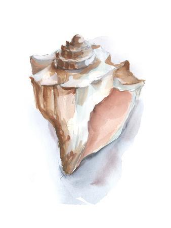 'Pastel Shell Collection I' Art Print - Ethan Harper | Art.com