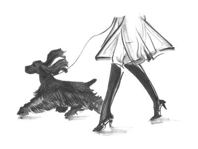 English Setter Pointing Drawing