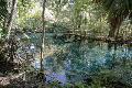 'Natural Springs at Silver Springs State Park, Johnny Weismuller Tarzan ...