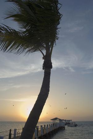 USA, Florida, Florida Keys, Sunrise over pier and boat dock at ...