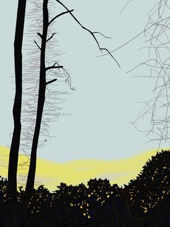 Cardinal in Tree (Digital Art) Giclee Print - Evan Sklar | Art.com