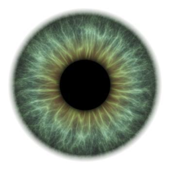 'Eye' Photographic Print - PASIEKA | Art.com