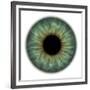 'Eye' Photographic Print - PASIEKA | Art.com