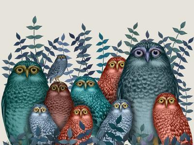 Funky Owl Paintings