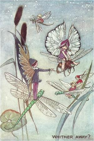 'Fairies Riding Dragonflies and Bees' Art Print | Art.com