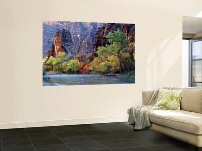 'Fall Foliage along Virgin River, Zion National Park, Utah, USA' Giant ...