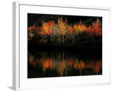 'Fall Foliage with Reflections, New Hampshire, USA' Photographic Print ...