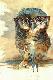 'Wise Owl with Big Eyes in Hipster Glasses Animal Watercolor Painting ...