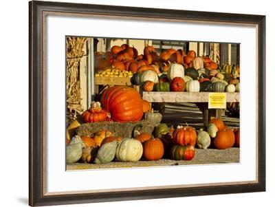 Farmer's Market, Autumn in Luling, Texas, USA Photographic Print by ...