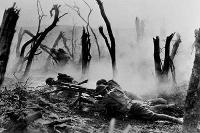 First World War (1St, Iere, 14-18 or 1914-1918) (The First World War ...