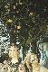 Flora, Zephyrus and Cloris, Detail from the Spring, Circa 1482, Sandro ...